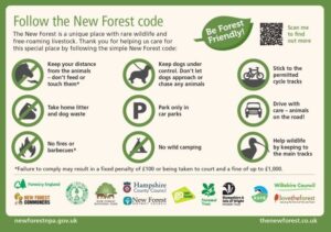 Our story - New Forest National Park