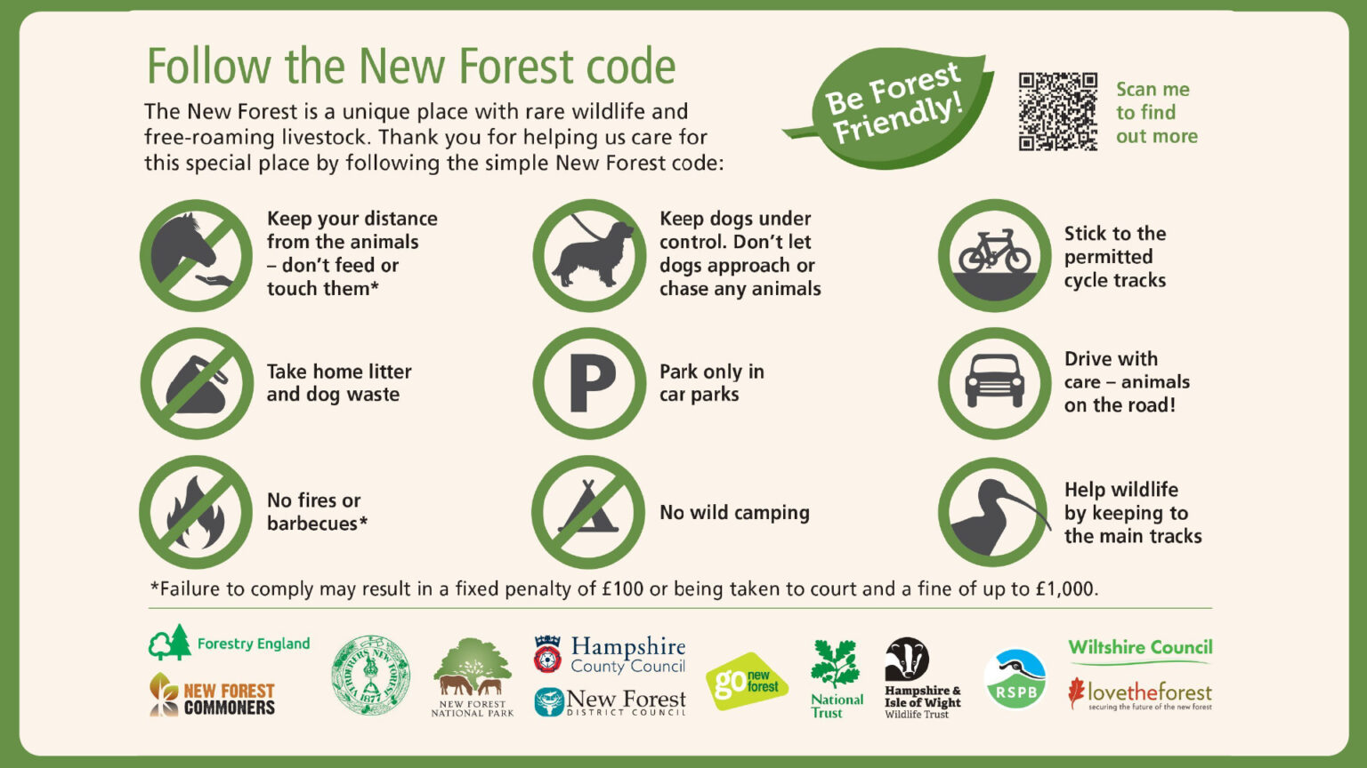 Forestry England introducing car parking charges - New Forest National Park